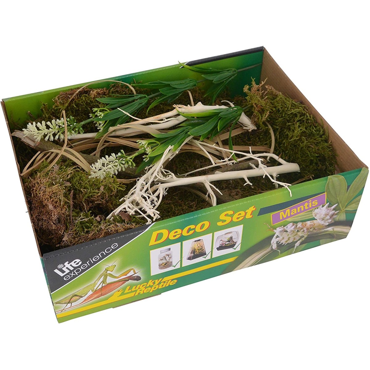 Mousses pour terrarium Life Experience Deco Set Mantes de chez Lucky ...